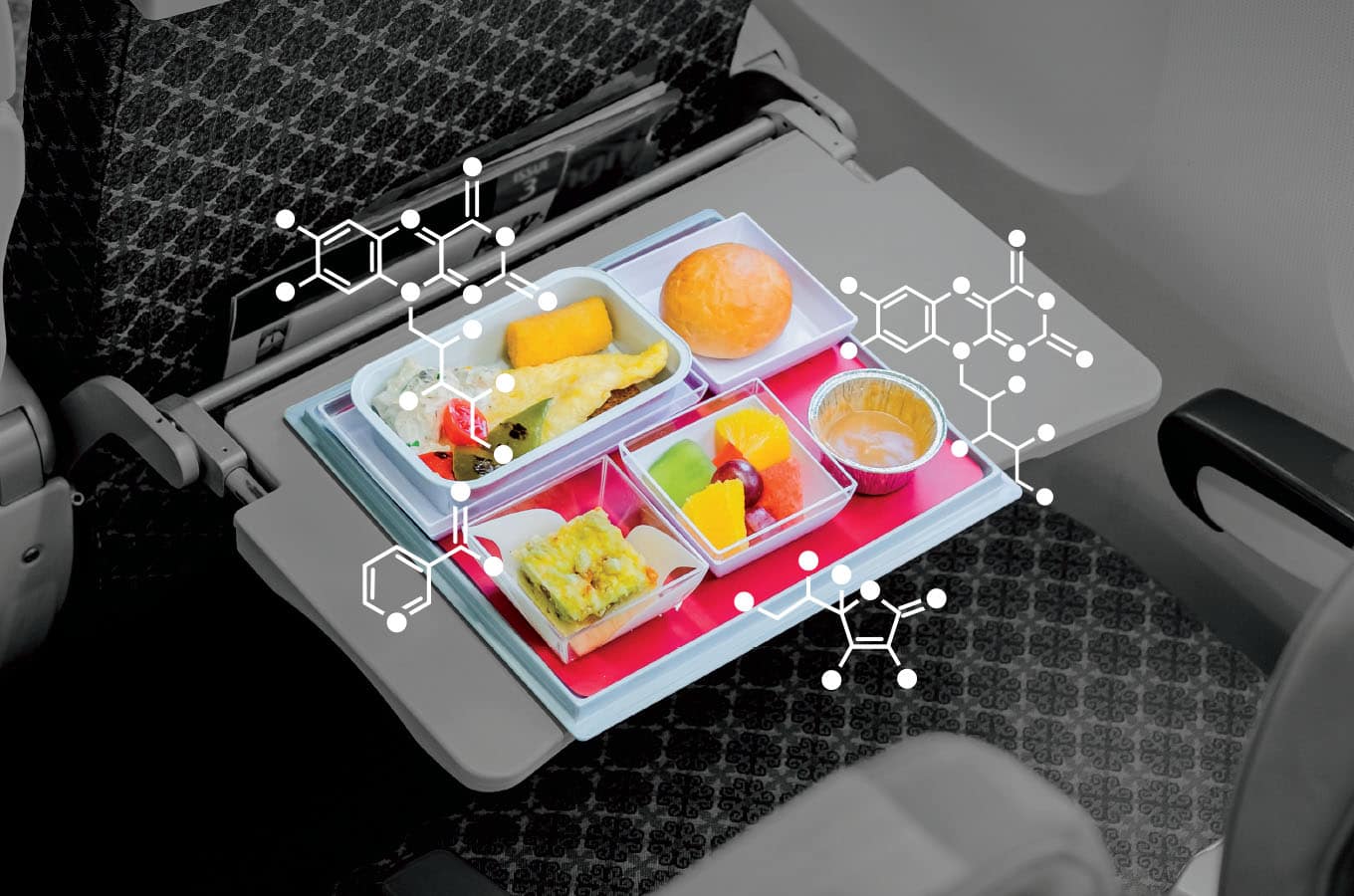 Micronutrition's Influence on In-Flight Appetite and Well-Being - APEX
